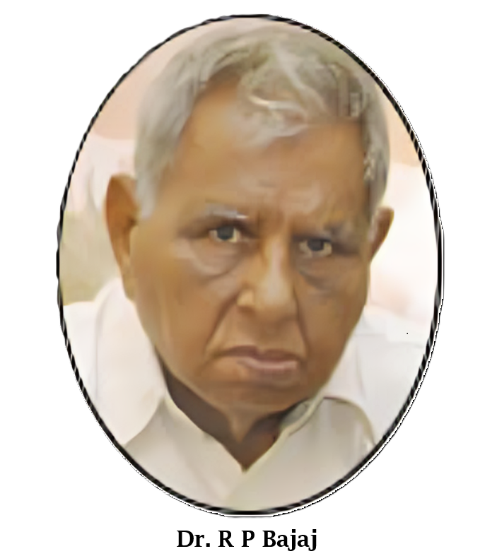 Pillars of Prestige :: Remal Public School